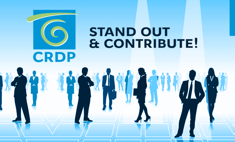 Open Vacancy - IT and Network Administrator | المركز التربوي للبحوث والإنماء - CRDP Lebanon